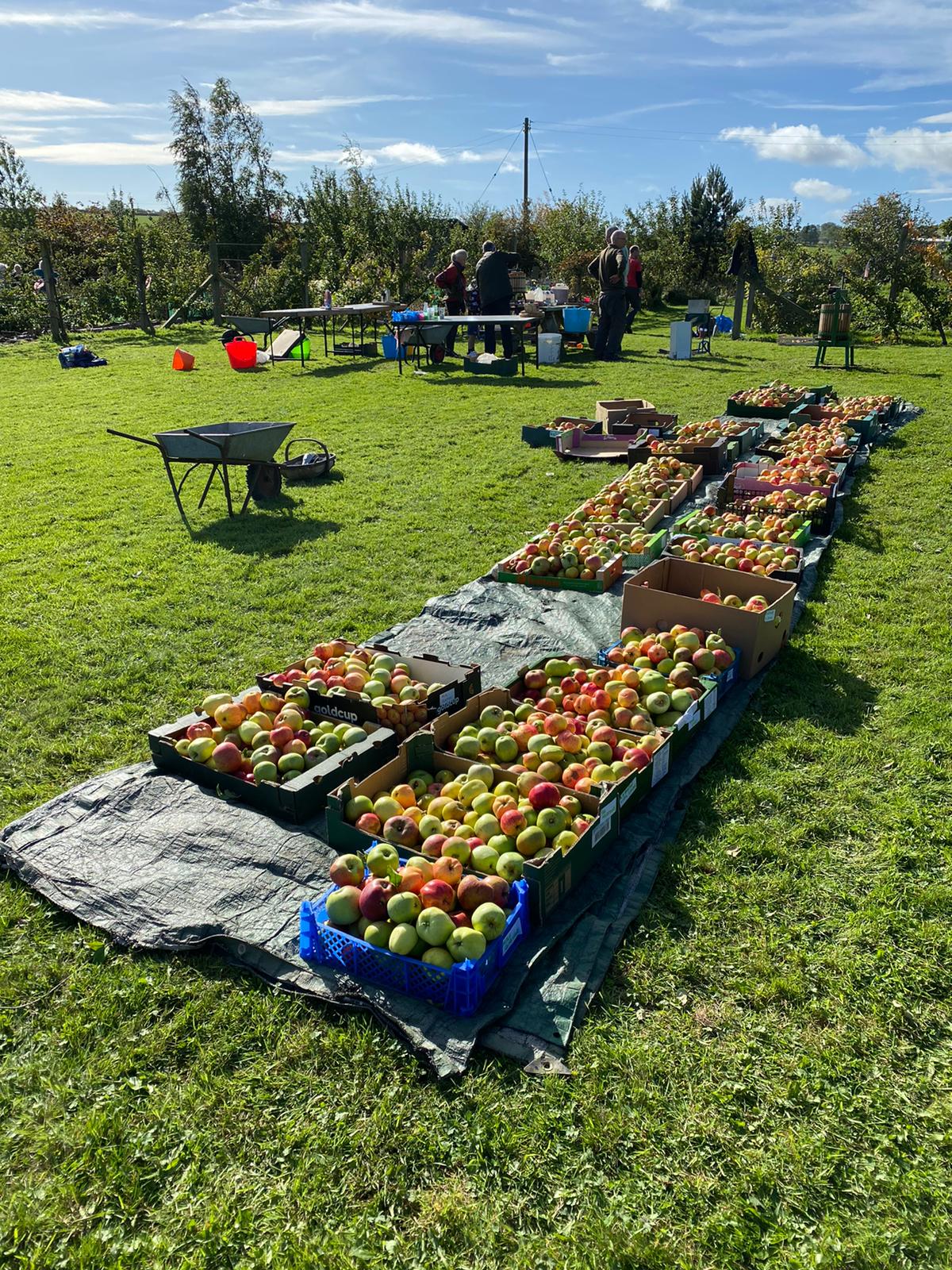 News & Events | Jesmond Community Orchard